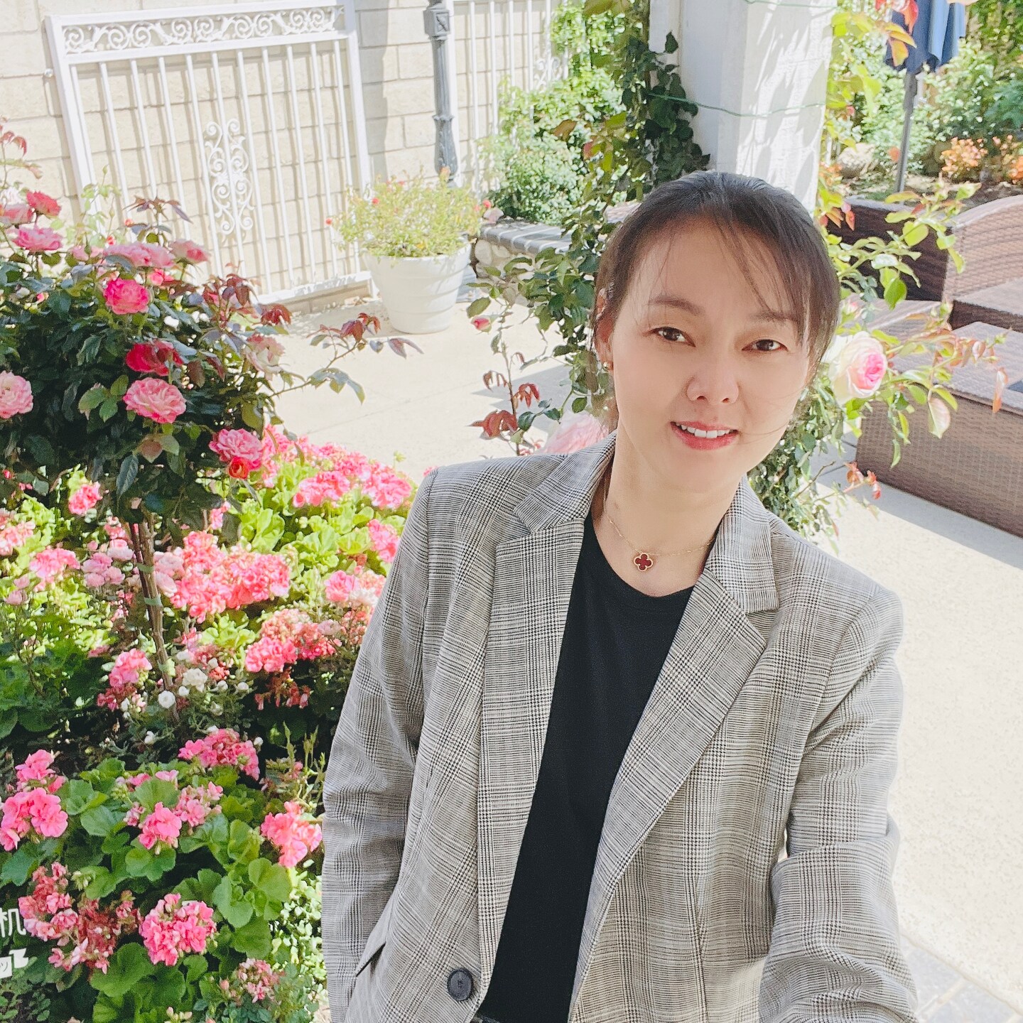 Amplerain | Storefront | Michaels