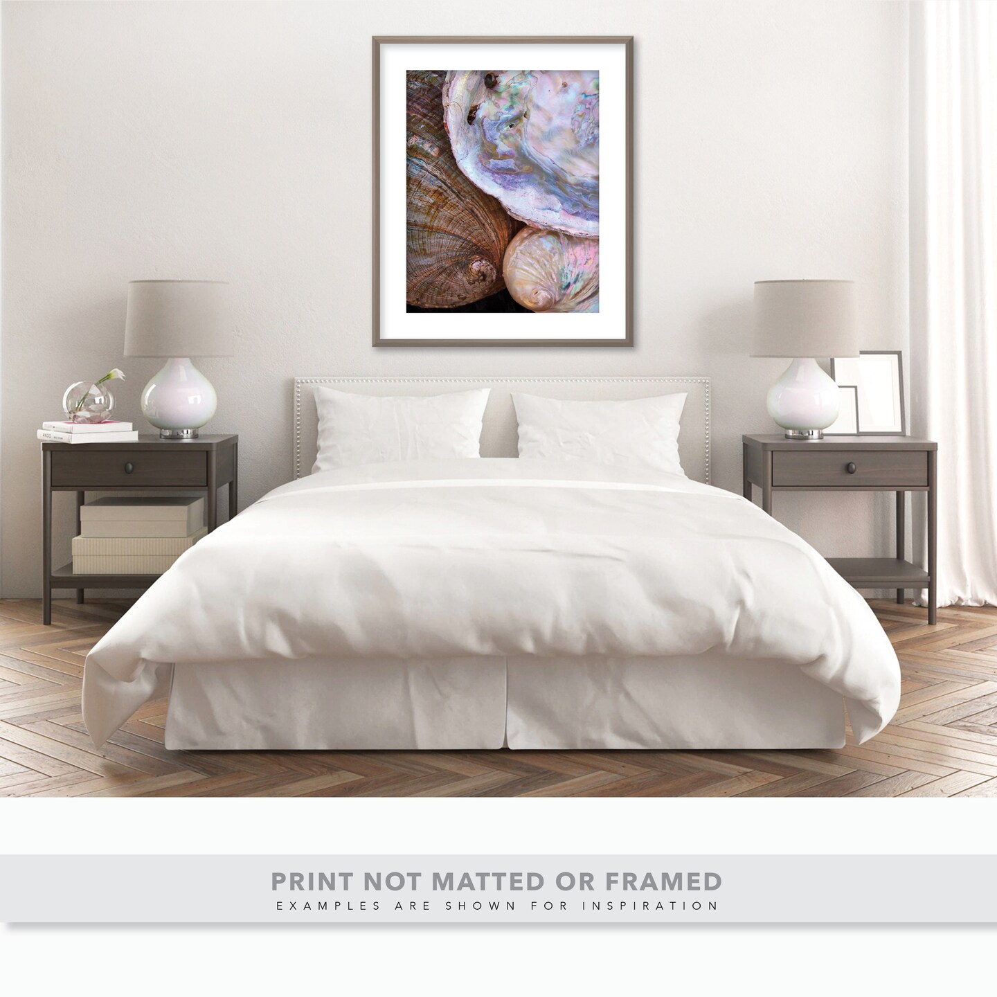 A Grouping of Abalone Shells - Outer Shell and Inner Shell with ...