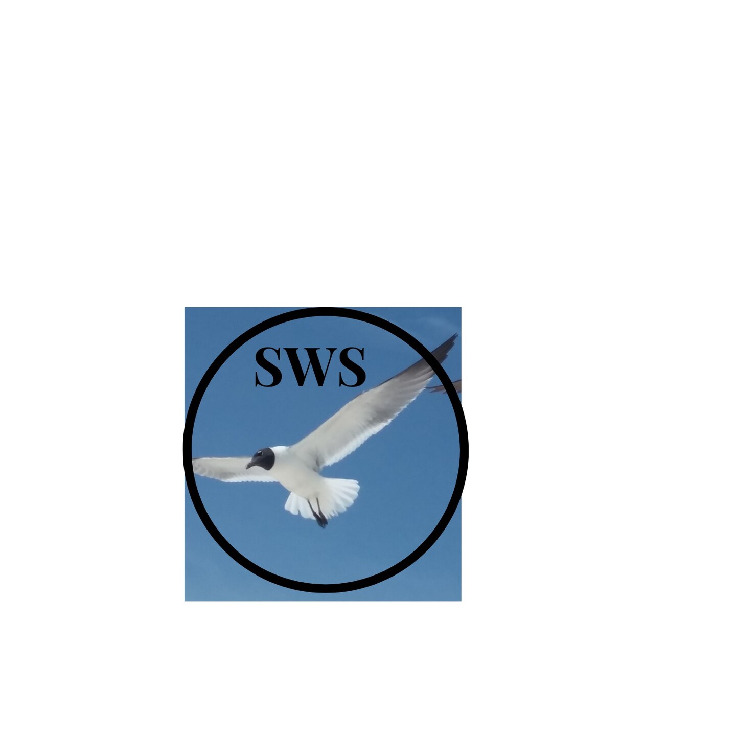 Sea Wright Studio | Storefront | Michaels