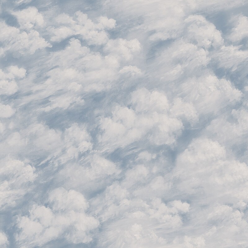 Tempaper & Co. Clouds Sky Peel and Stick Wallpaper, Blue, 28 sq. ft ...
