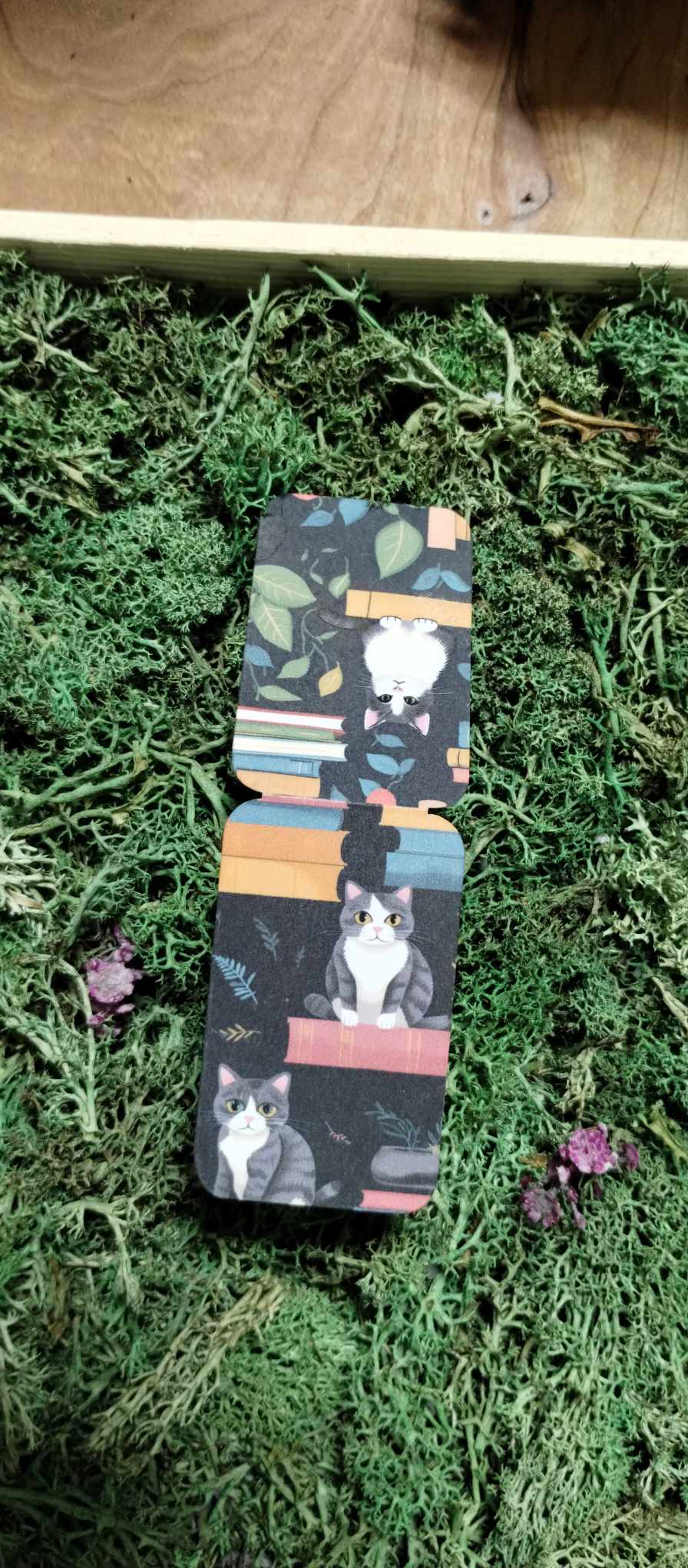 Cats on Books Magnetic Bookmark, Strong Magnet, Laminated, Magnet ...