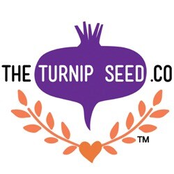 The Turnipseed | Storefront | Michaels