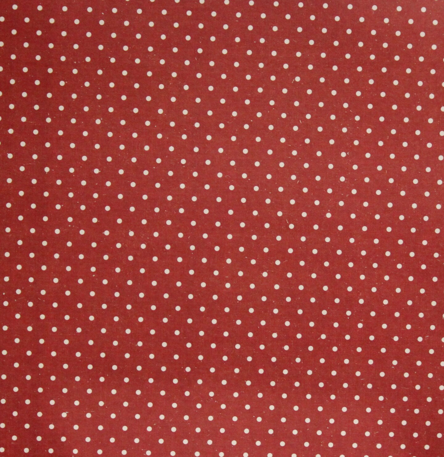Recollections Cottage Christmas 12 x 12 Holiday Dots Lt. Cardstock ...