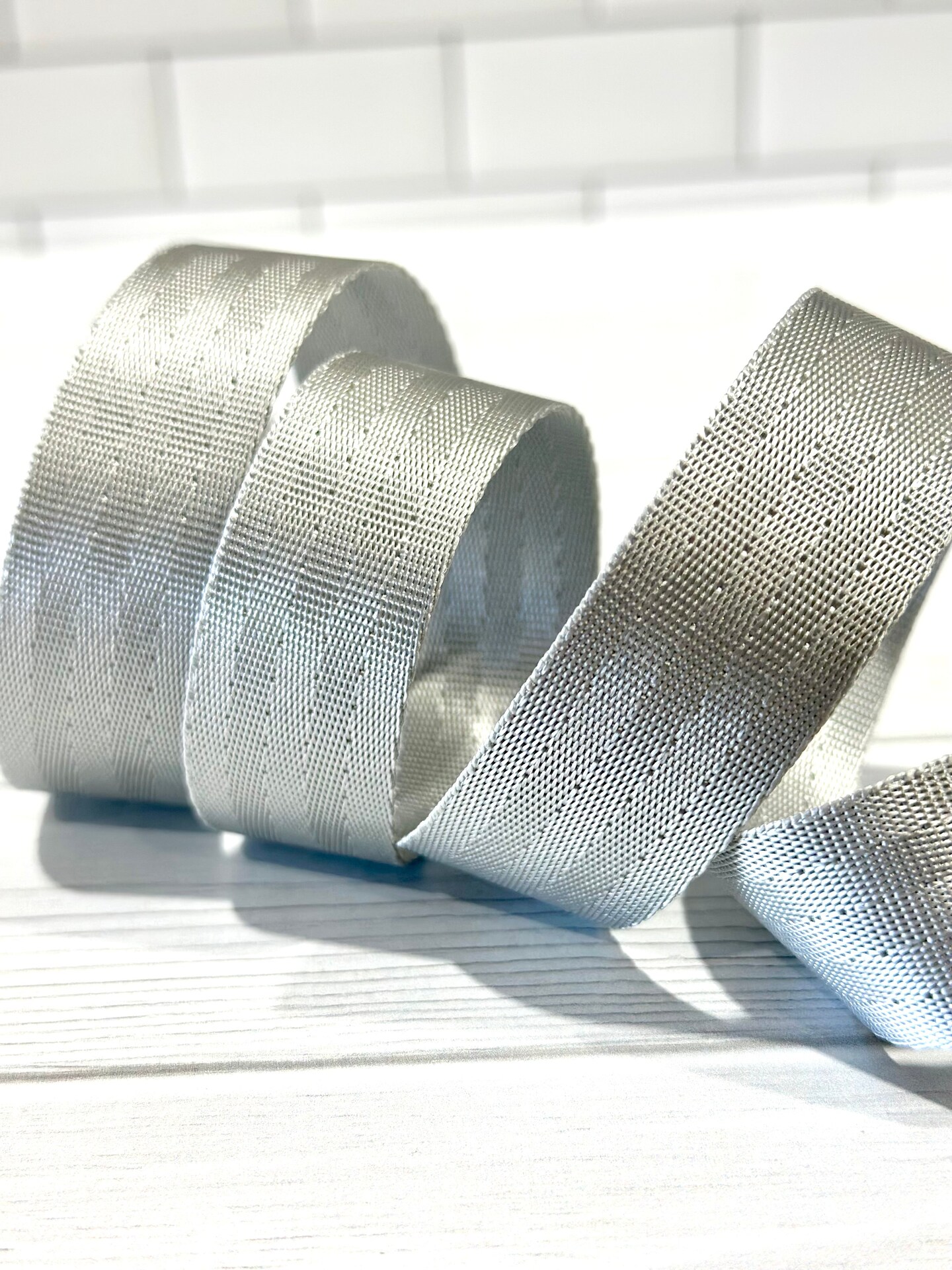 Silver 1” Seatbelt Webbing | Michaels