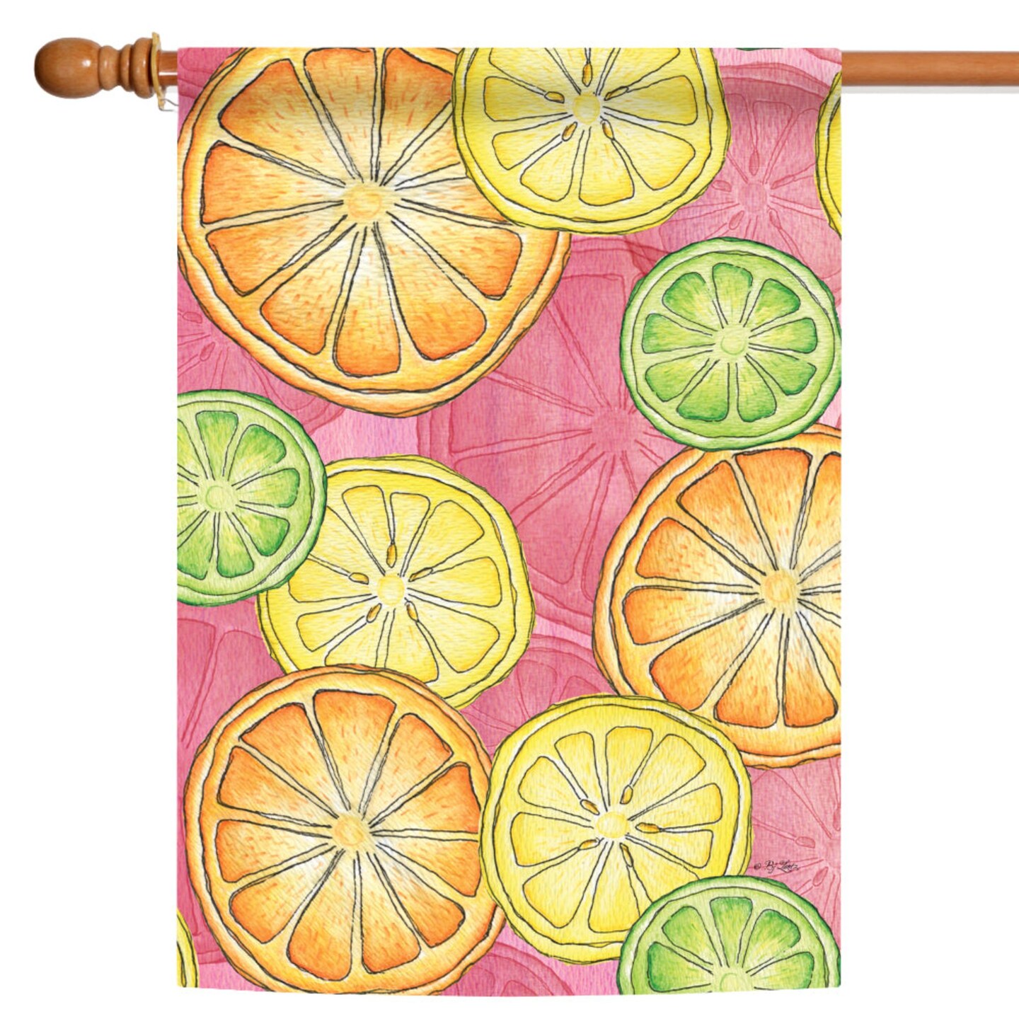 Toland Home Garden Orange and Green Citrus Toss Outdoor House Flag 40 ...