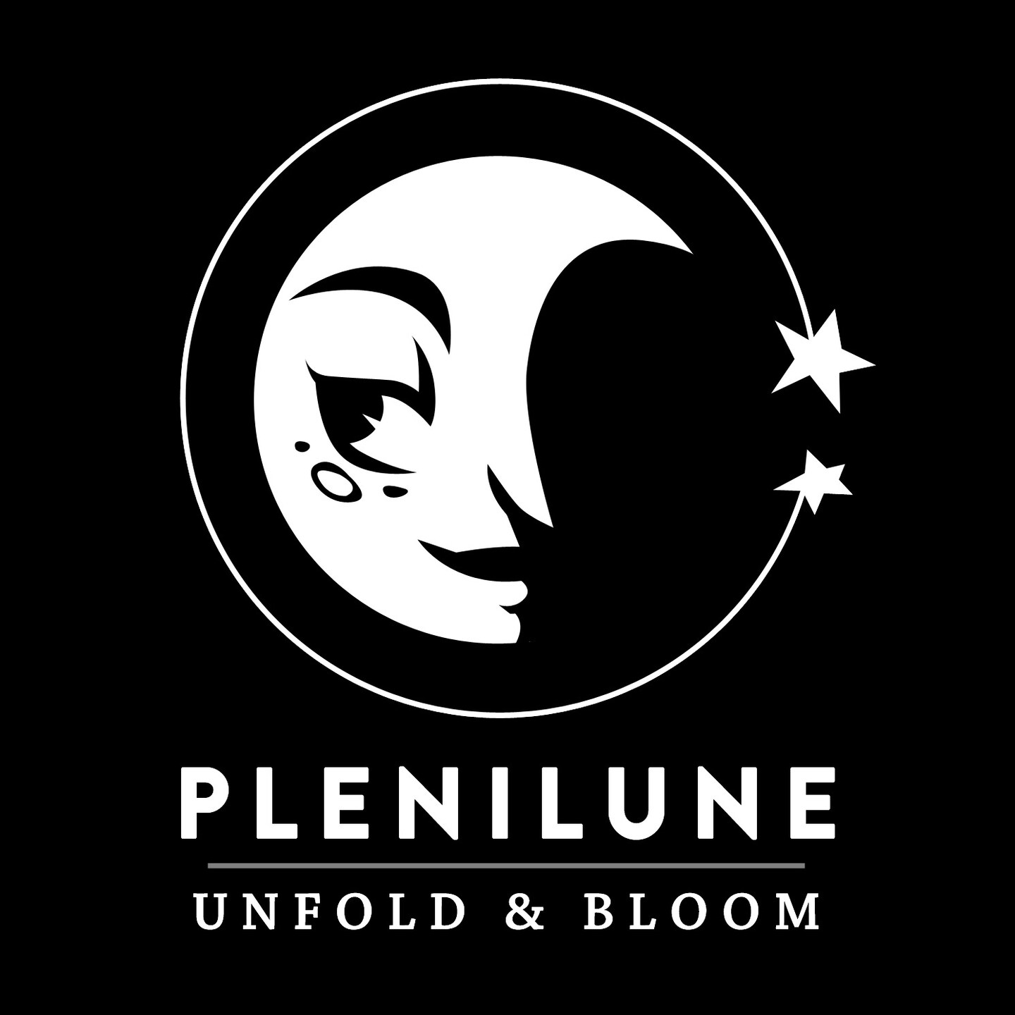 plenilunephlpa | Storefront | Michaels