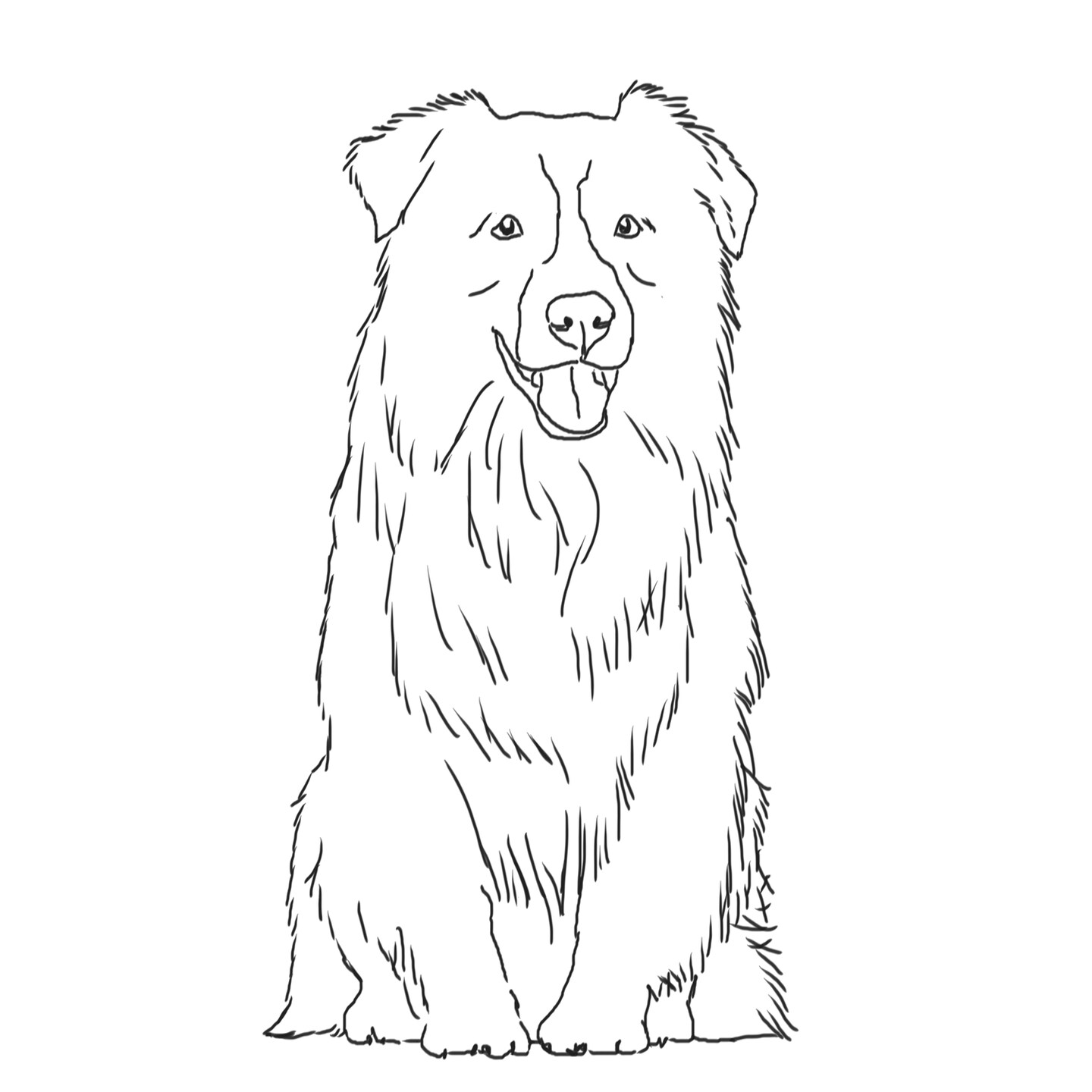 Border Collie (Design 9) - Printed Transfer Sheets for a variety of ...