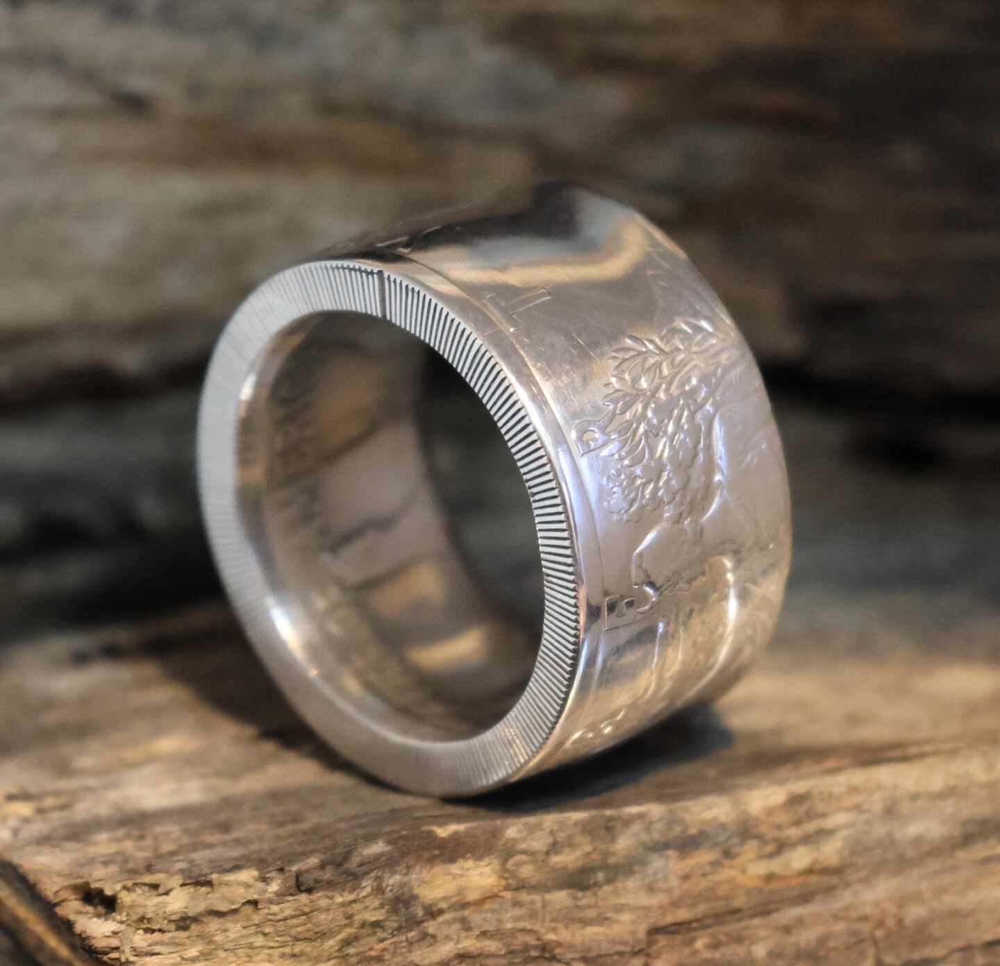 American Silver Eagle Coin Ring | MakerPlace by Michaels