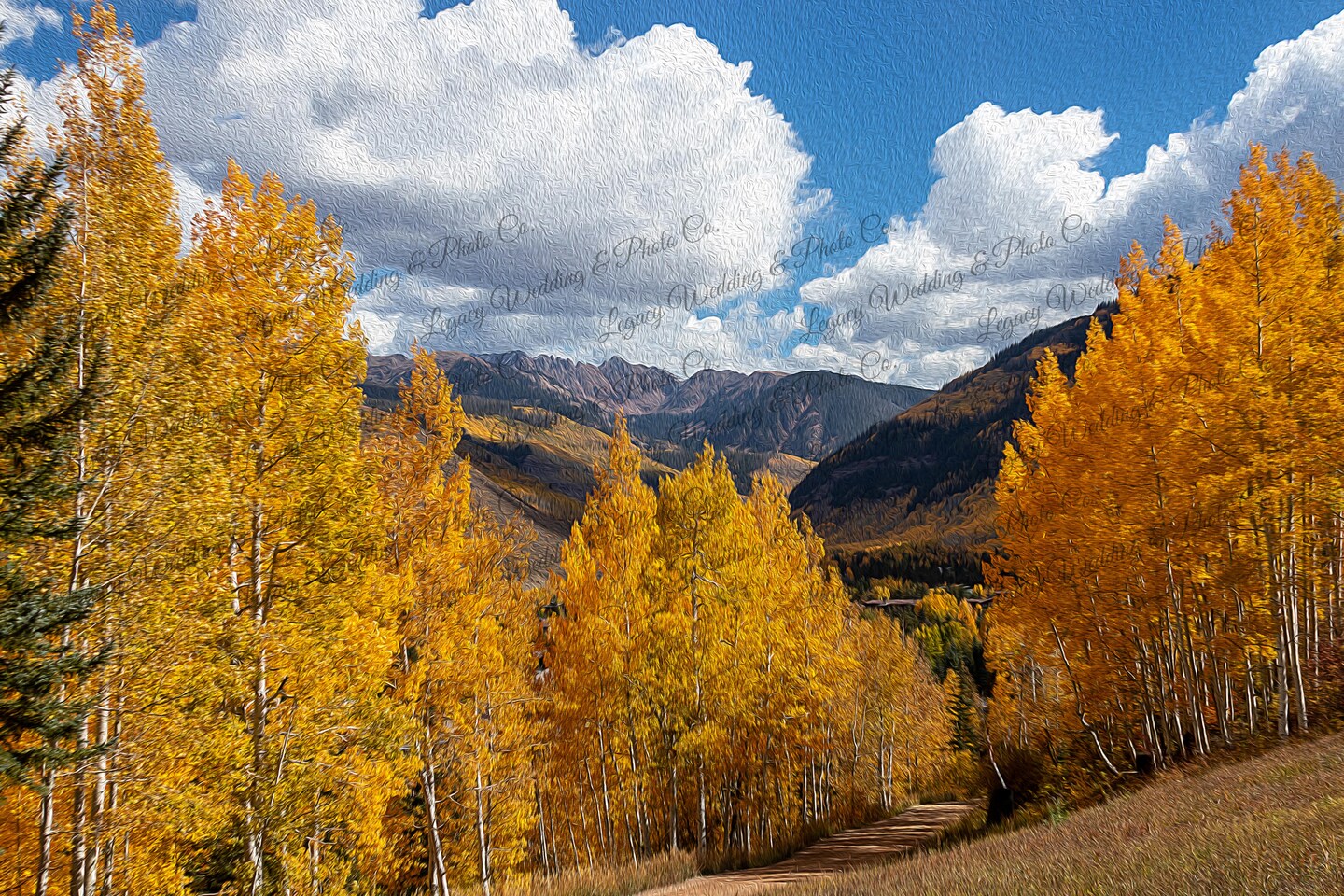 Vail in the Fall Canvas Wallart | MakerPlace by Michaels