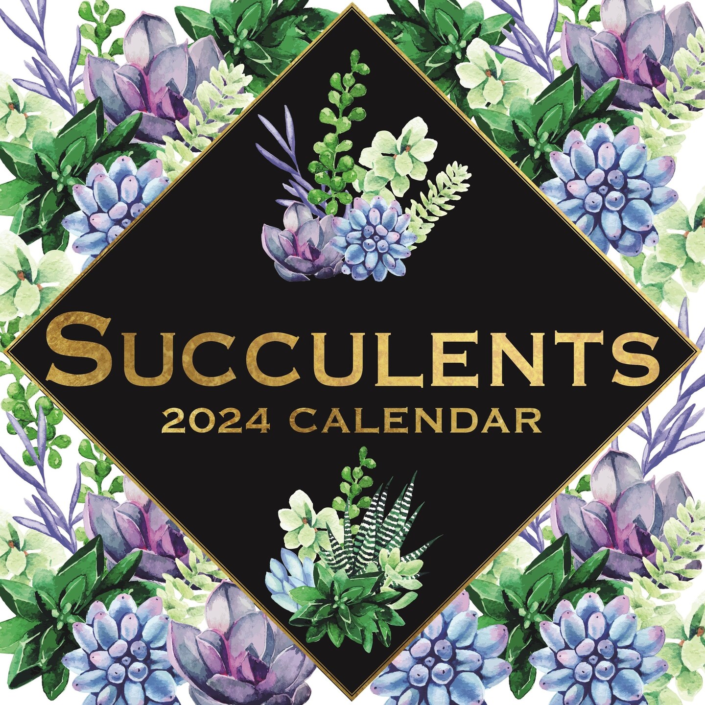 2024 Square Wall Calendar, Succulents, 16-Month Arts & Antiques Theme ...
