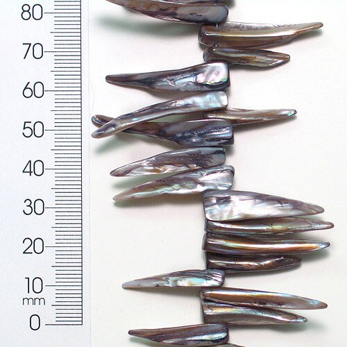 6 Packs of Tinted Shell Spike Gray 2x8" Strand | Michaels