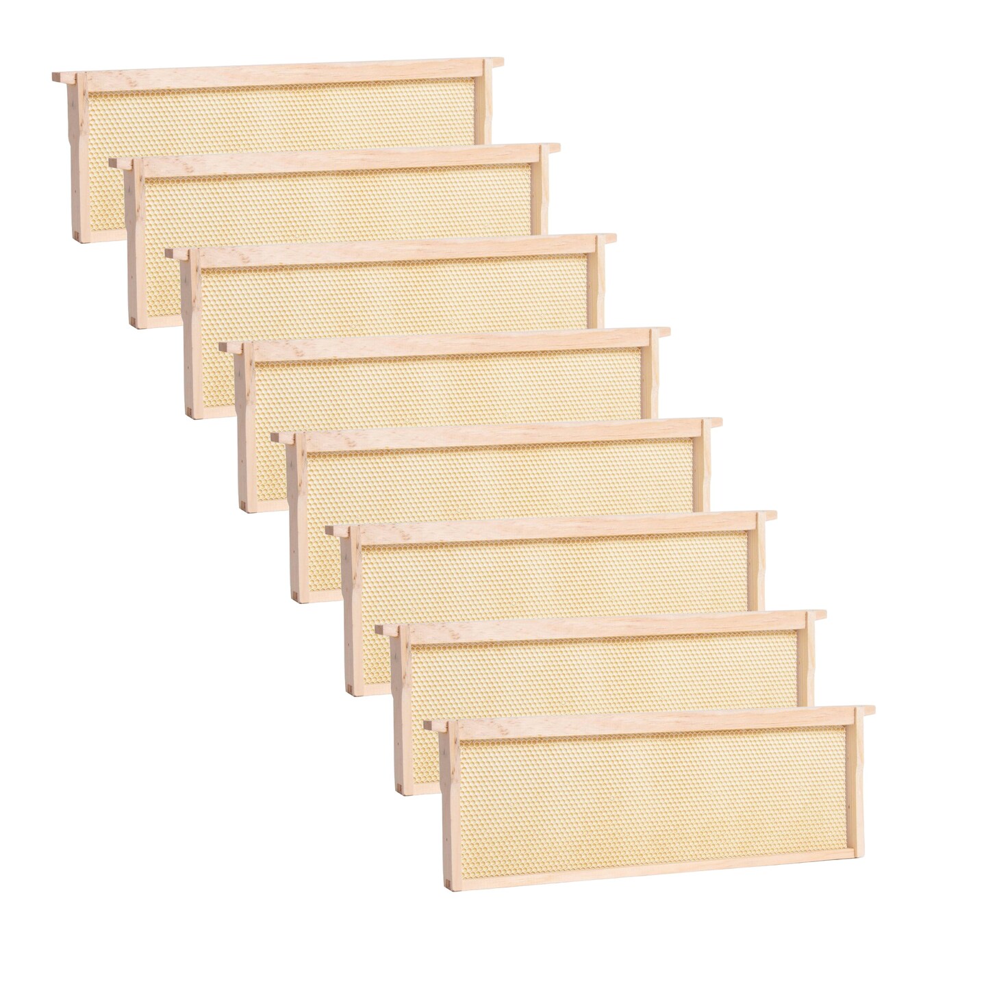 Stoney Acres Beekeeping Beehive Frame, Waxed Plastic Foundation, Medium ...