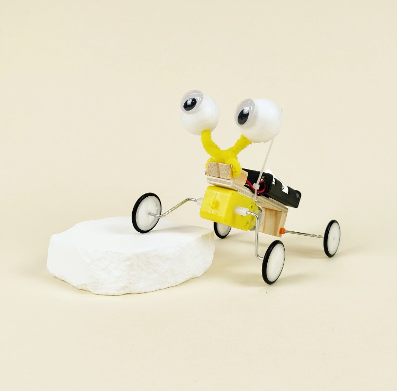 Bug Robot DIY Kit, Educational STEM Toy for Kids, Craft Kit for Kid ...