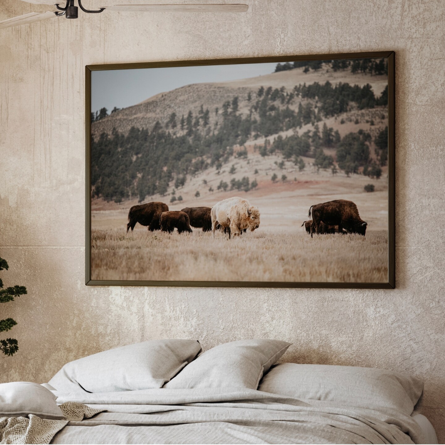 White bison, white buffalo art, spirit bison canvas, great white ...
