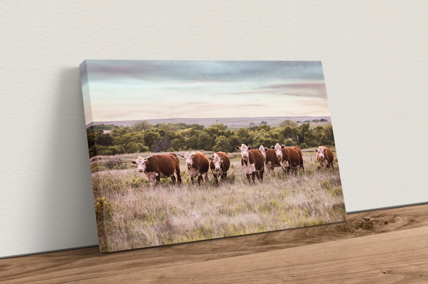 Large wall art, ranch style home decor, large cow canvas, cattle photo ...