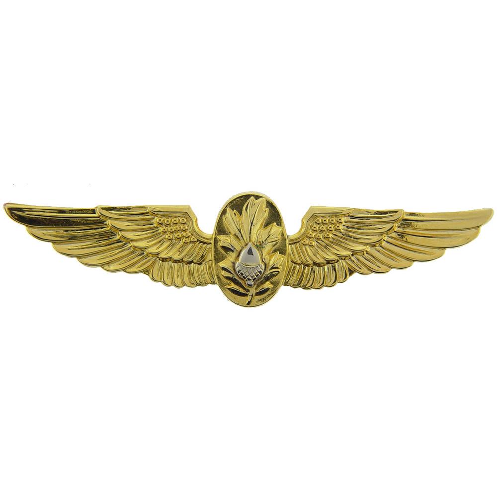 Buy in Bulk - U.S. Navy Flight Surgeon Pin 2 3/4" | Michaels
