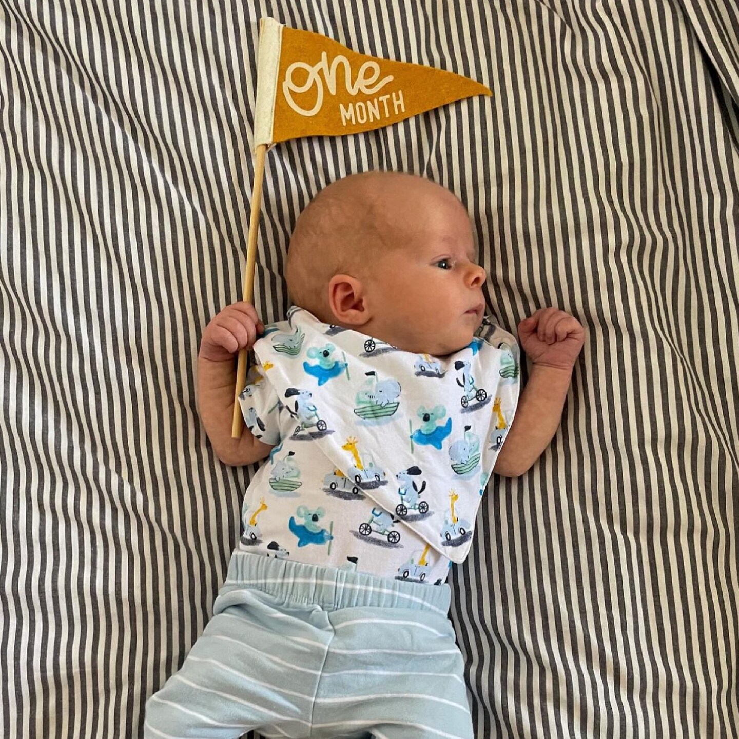 BABY MILESTONE Monthly Mini Pennant Photo Props | Set of 6 Double-Sided ...