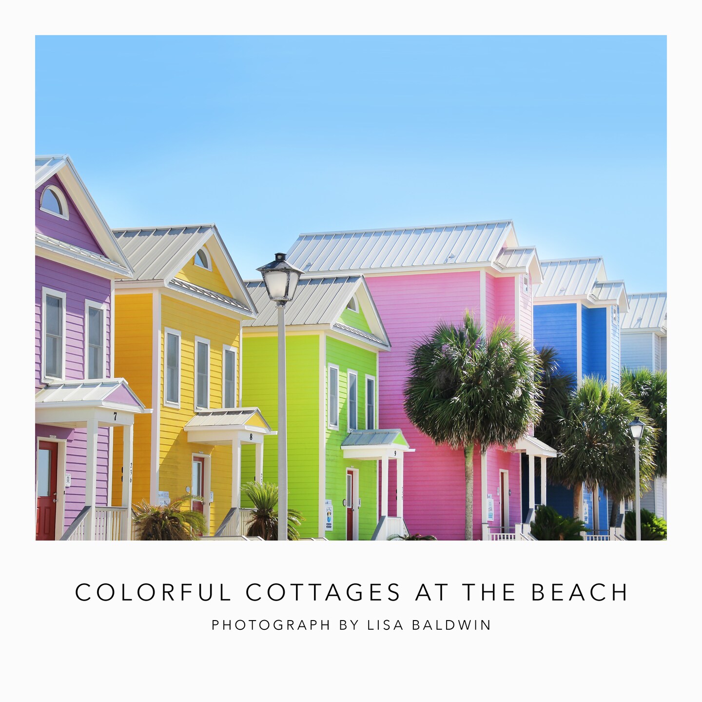 Colorful Cottages by the Ocean Photo - Bright Purple Yellow Lime Pink ...
