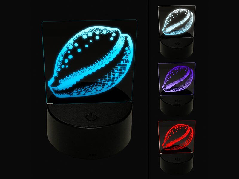 Cyprae Tigris Cowrie Hashmark Shaded Shell Beach Seashell 3D Illusion ...