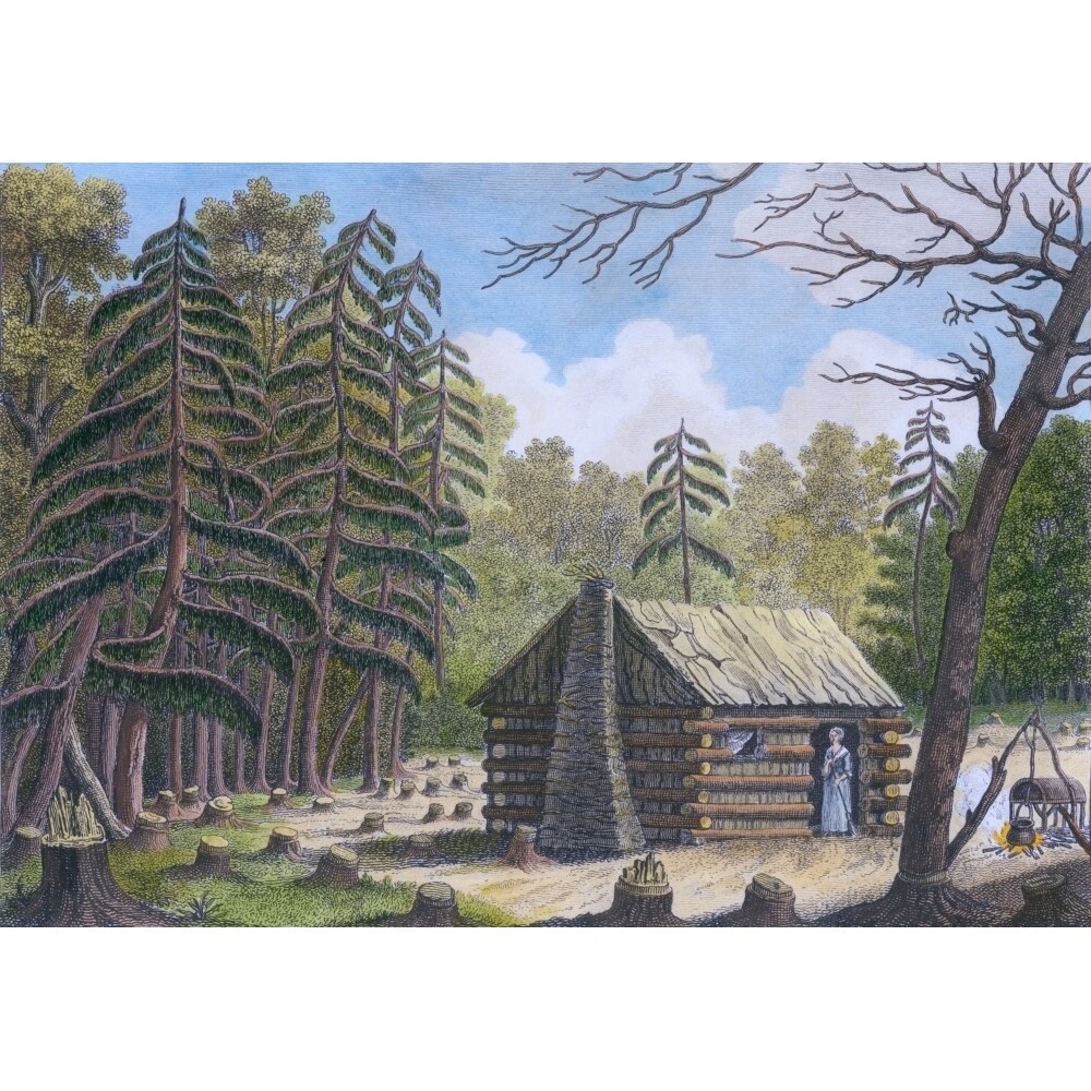 Pioneer Homestead In The Backwoods Of The American Frontier Surrounded ...