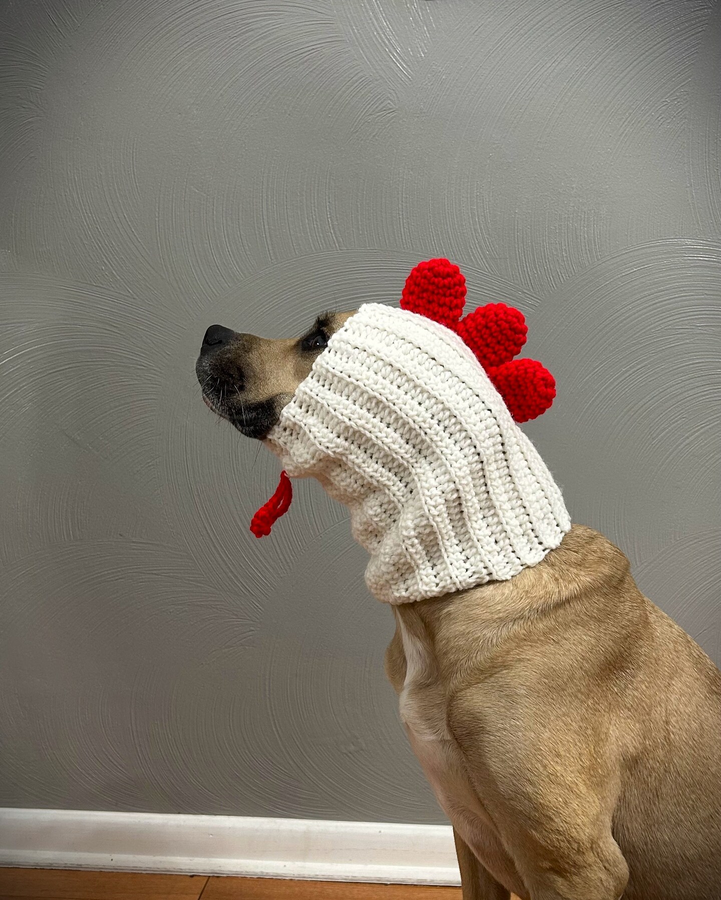 Chicken Dog Snood Crochet Dog Costume | MakerPlace by Michaels