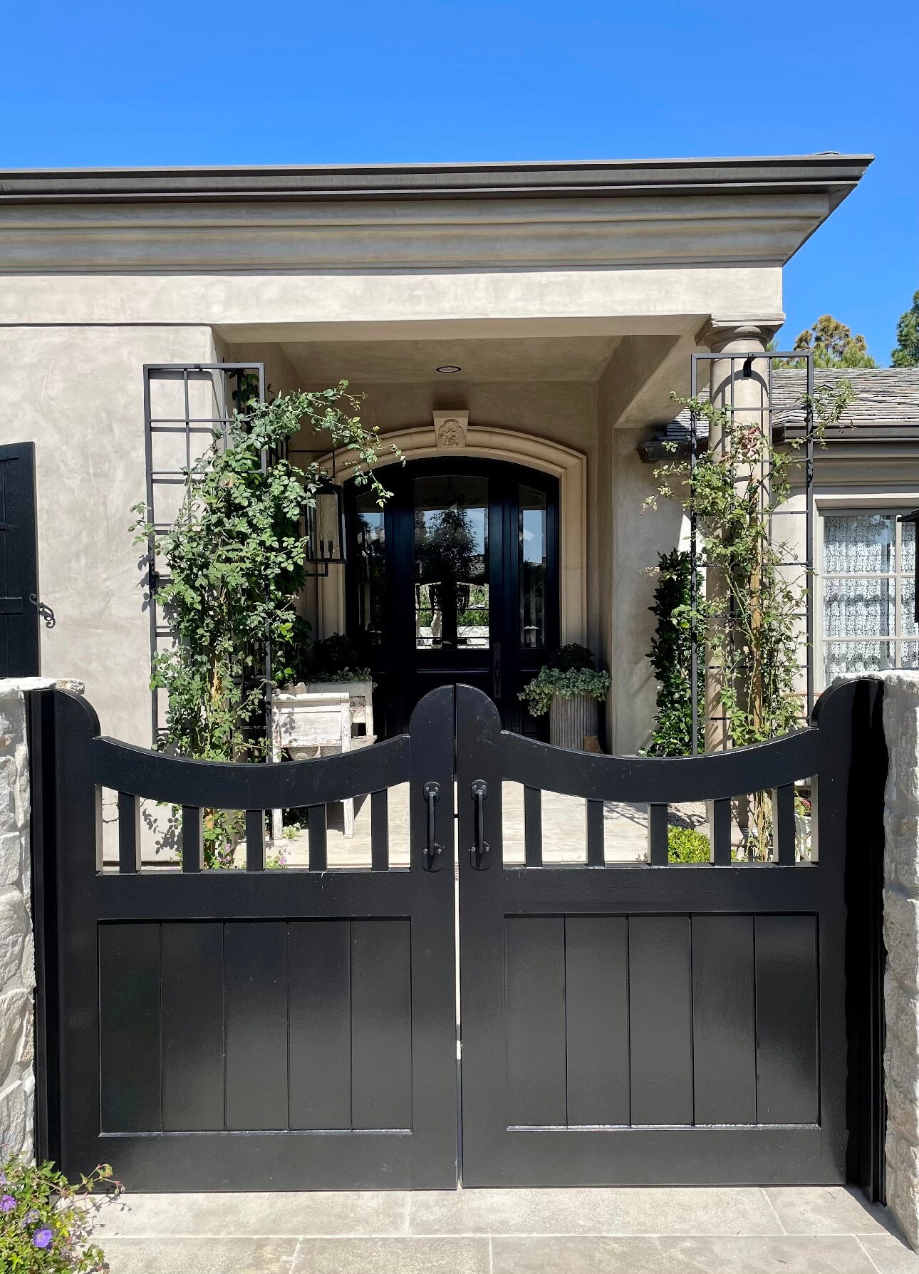 Classic Metal Garden Trellises, Single or Set of 2, 78” high x 24” wide ...