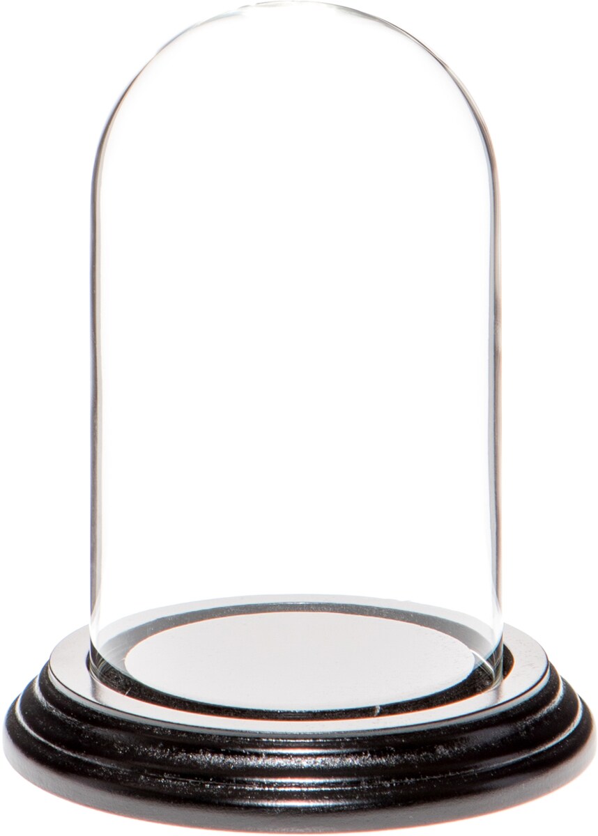 Plymor 3" x 5" Glass Display Dome Cloche | Michaels