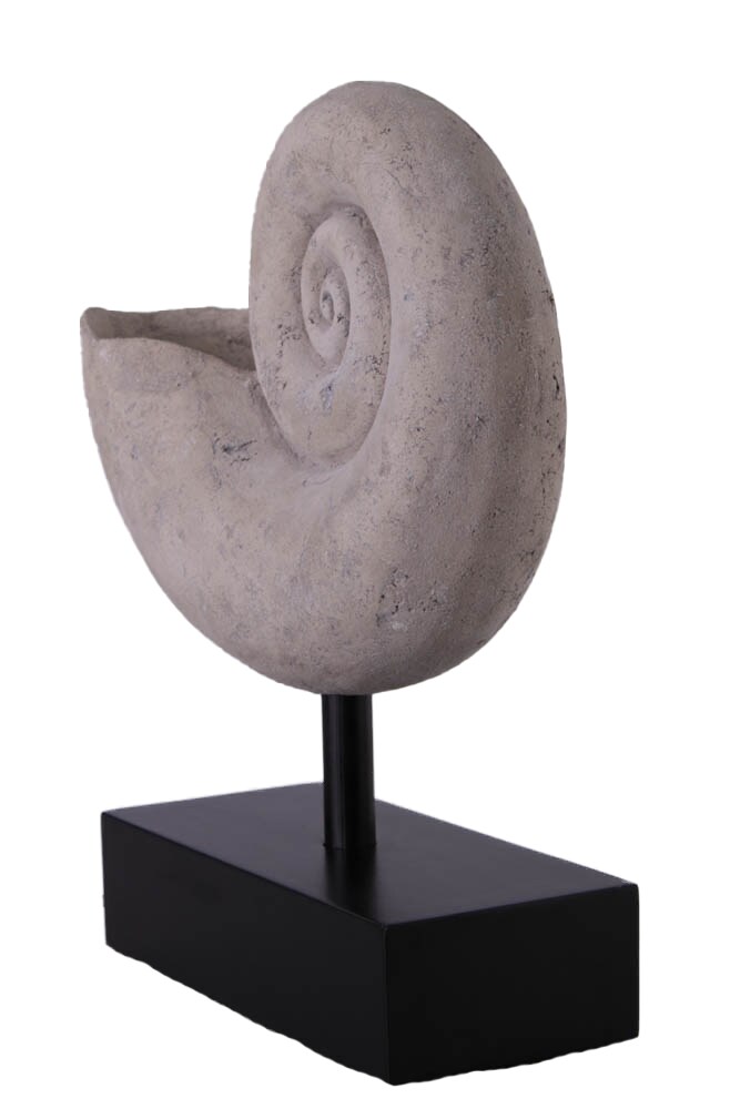 Nautilus Fossil Shell Life Size Statue | Michaels