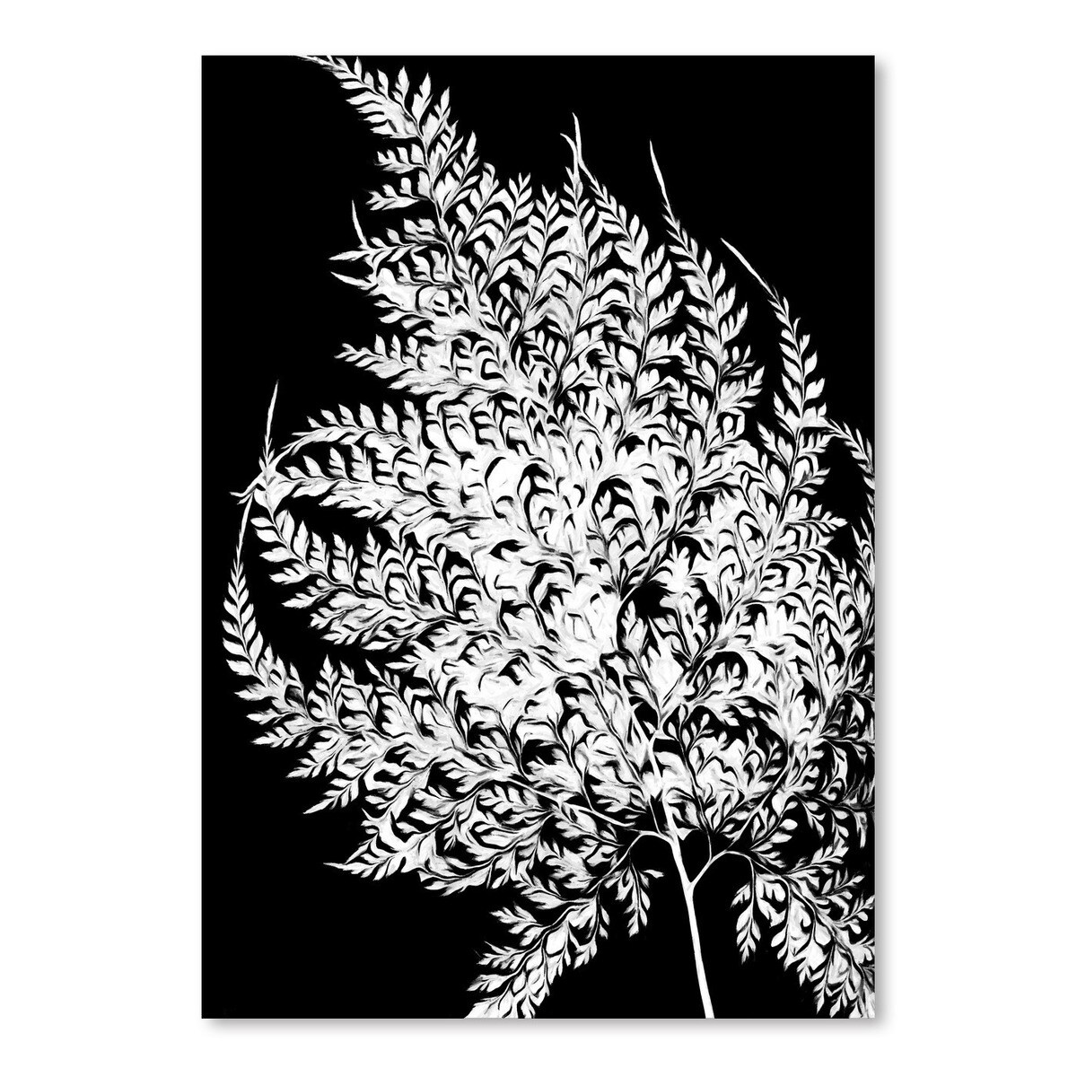 Swirl Fern Iii by Chaos & Wonder Design Poster Art Print - Americanflat ...