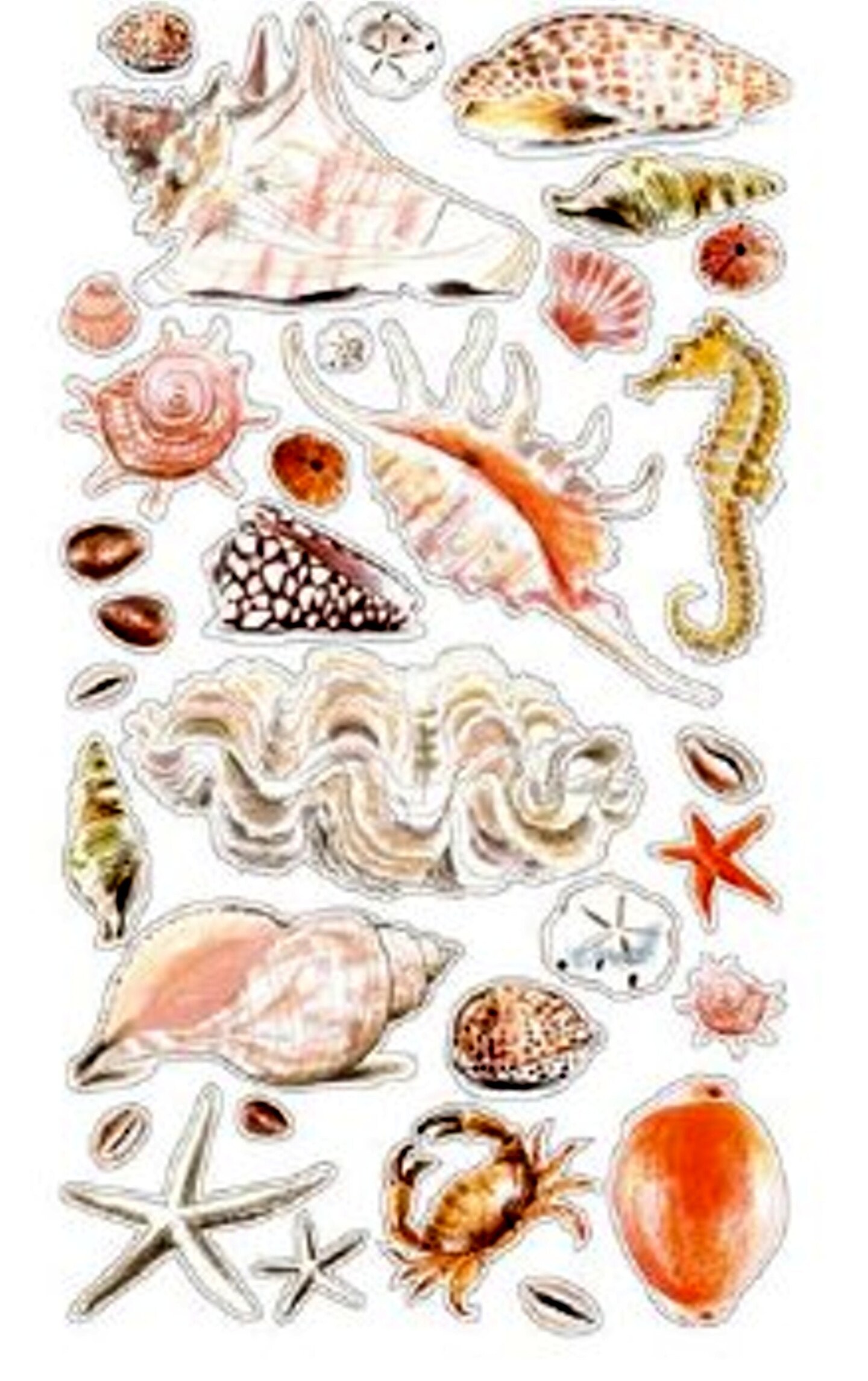 Sticko Sea Shells And Sand Stickers | Michaels