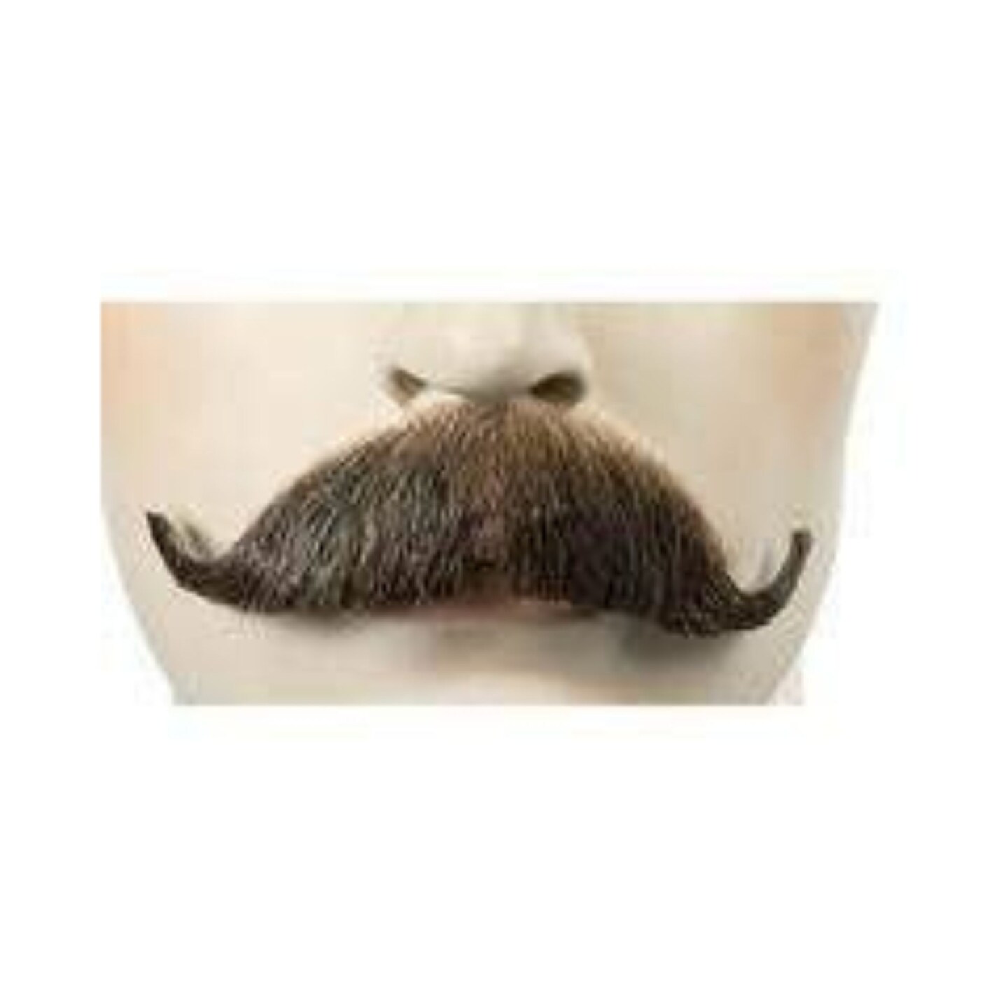 The Costume Center Dark Brown and Gray Edwardian Style Mustache ...