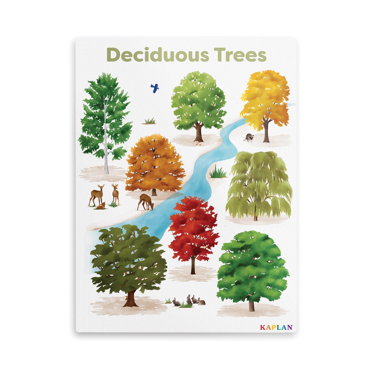 Kaplan Early Learning Company Deciduous Tree Giclee Classroom Wall ...