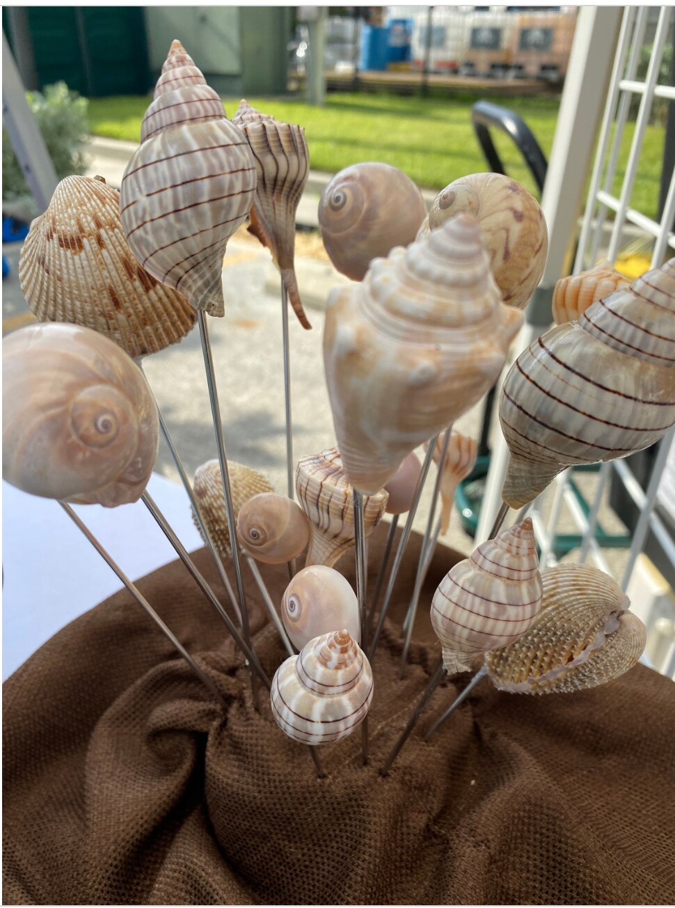 Seashell Cocktail Martini Picks, Stainless Steel Reusable Cocktail ...