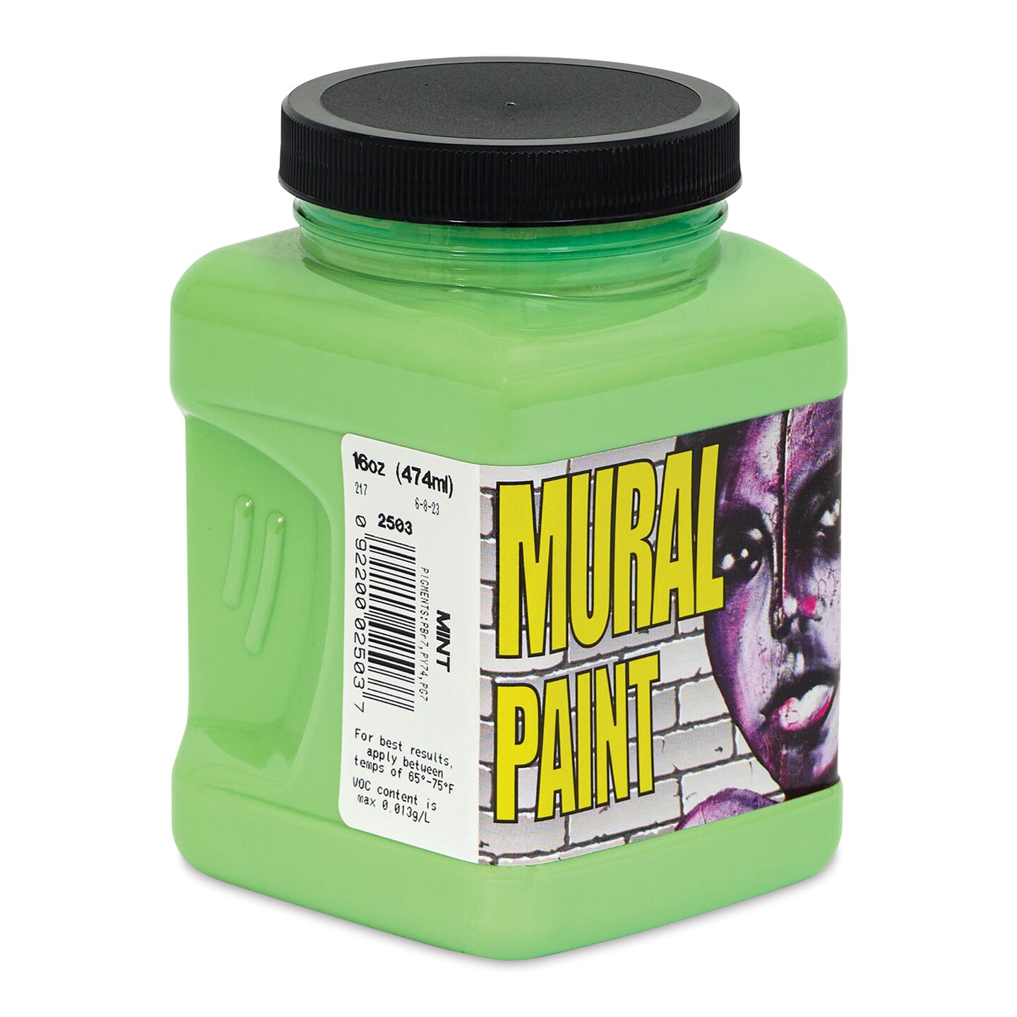 Chroma Acrylic Mural Paint - Mint, 16 oz Jar | Michaels