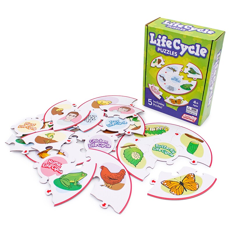 Life Cycle Puzzles | Michaels