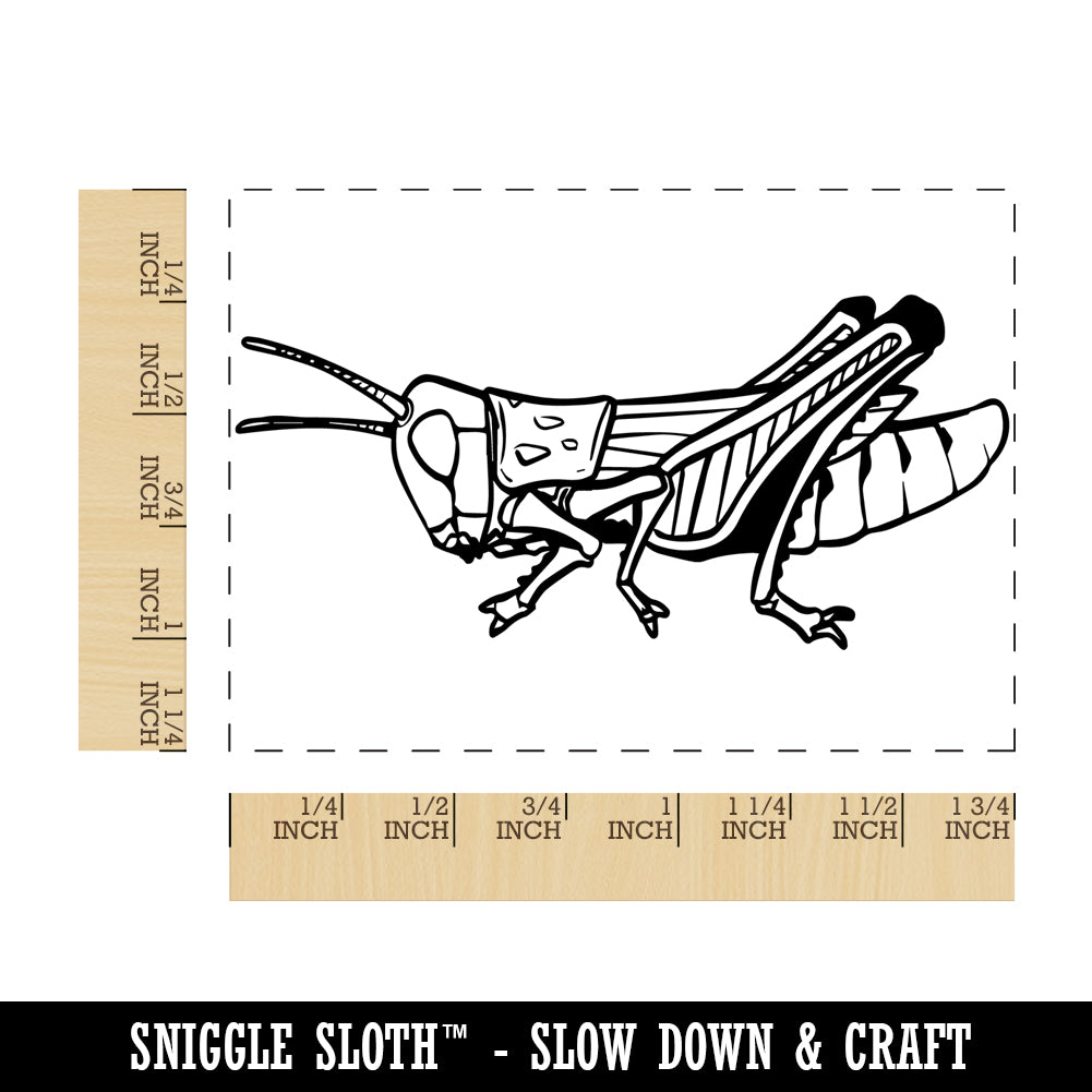 Realistic Grasshopper Locust Bug Insect Rectangle Rubber Stamp for ...
