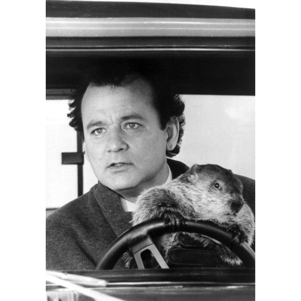 Film Still Of Bill Murray Driving A Car With A Beaver Photo Print ...