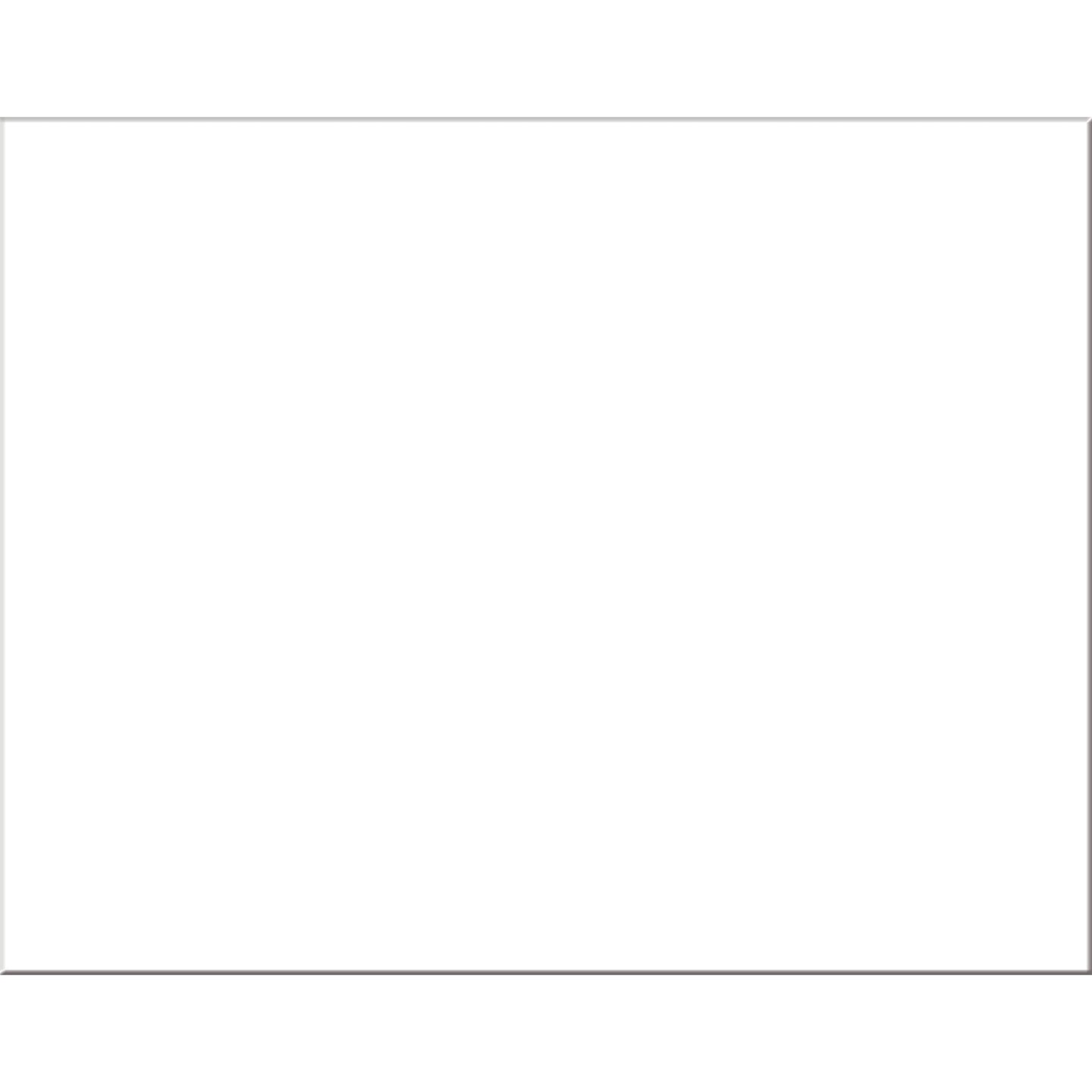 4-Ply Railroad Board, White, 22" x 28", 25 Sheets | Michaels