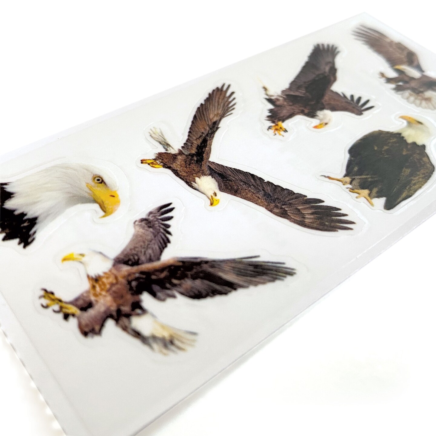 Paper House Decorative Stickers-Eagles | Michaels