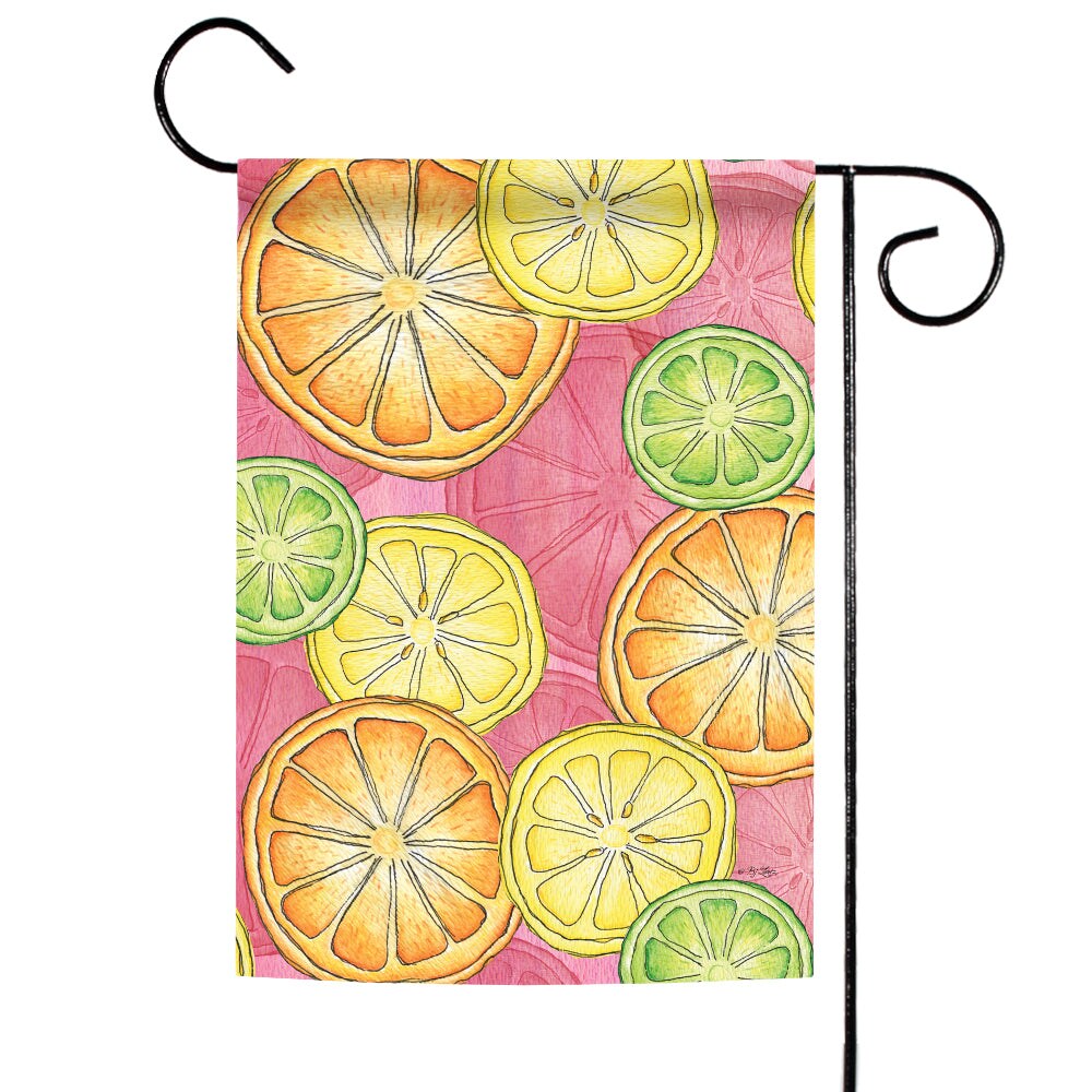 Citrus Toss Decorative Summer Flag, Size: 12 in x 18 in | Michaels