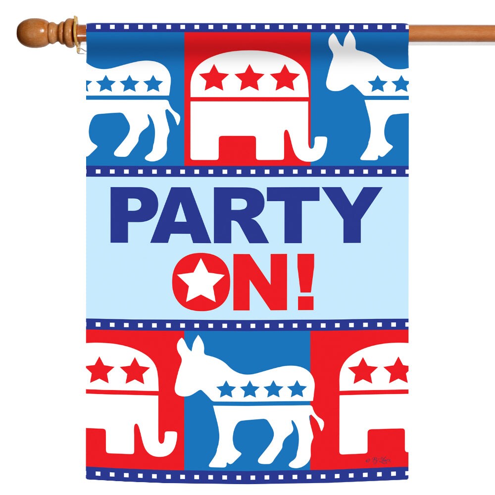 Party On Decorative Political Flag | Michaels