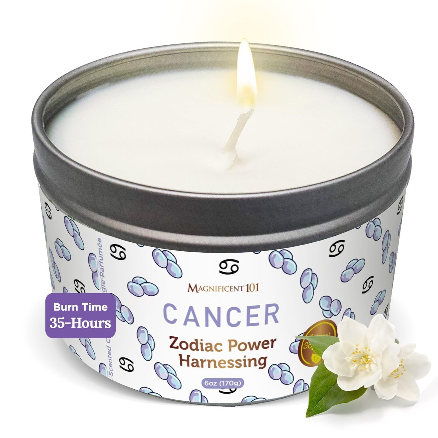 Magnificent 101 Cancer Zodiac Sign Candle – Soy Wax Candle – Choose ...