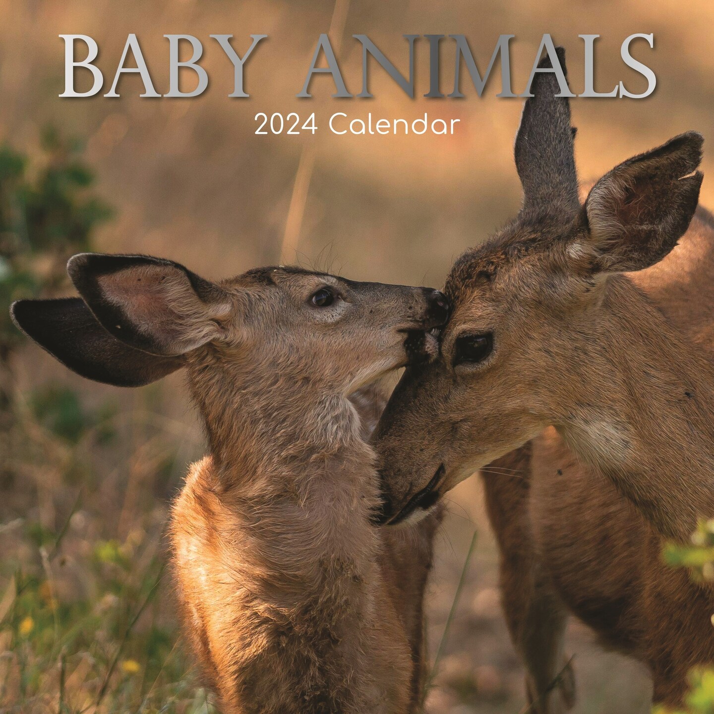 2024 Square Wall Calendar, Baby Animals, 16-Month Animals Theme with ...