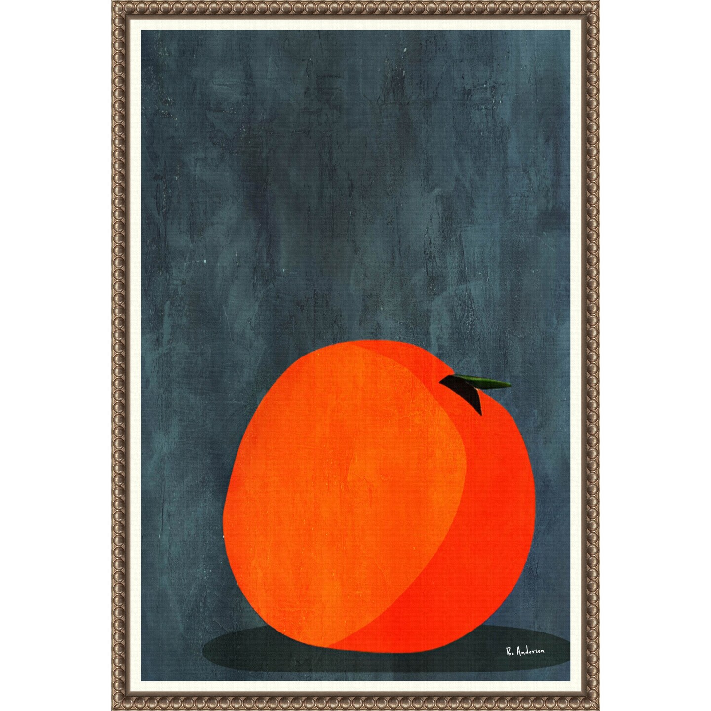 Calmly Sleeping Apple by Bo Anderson Framed Canvas Wall Art | Michaels