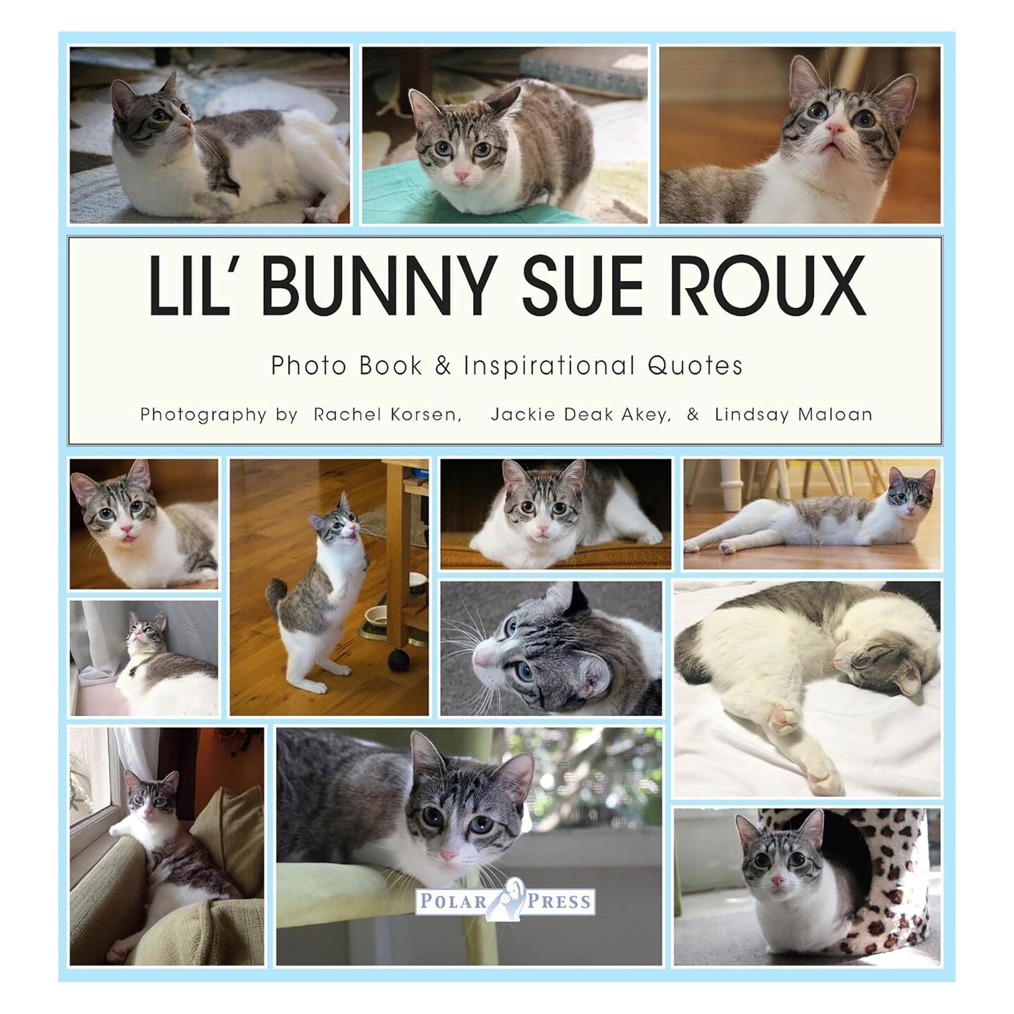 Lil' Bunny Sue Roux Book | Michaels