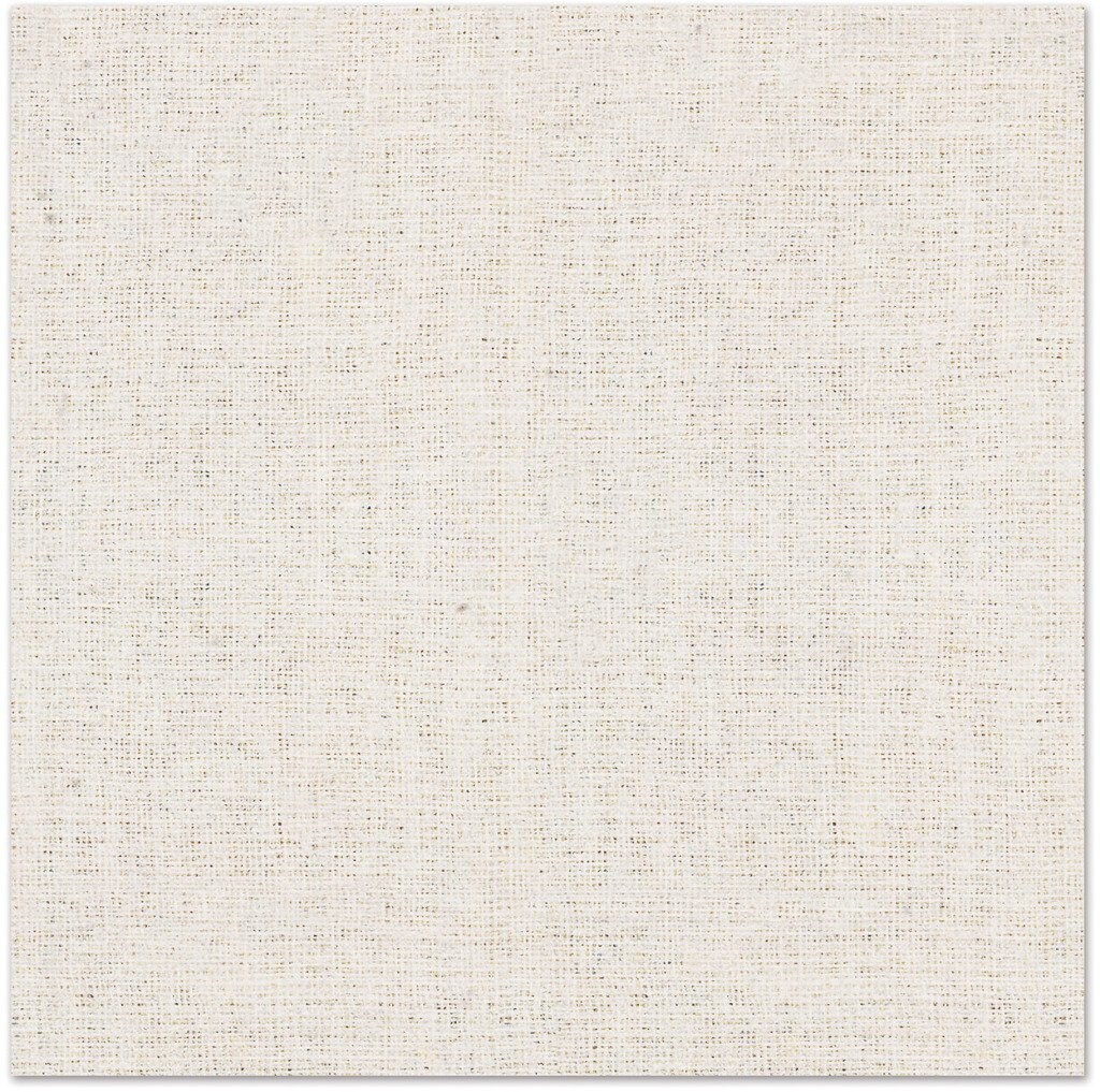 Muslin Paper Luncheon Napkins (Pack of 12) | Michaels