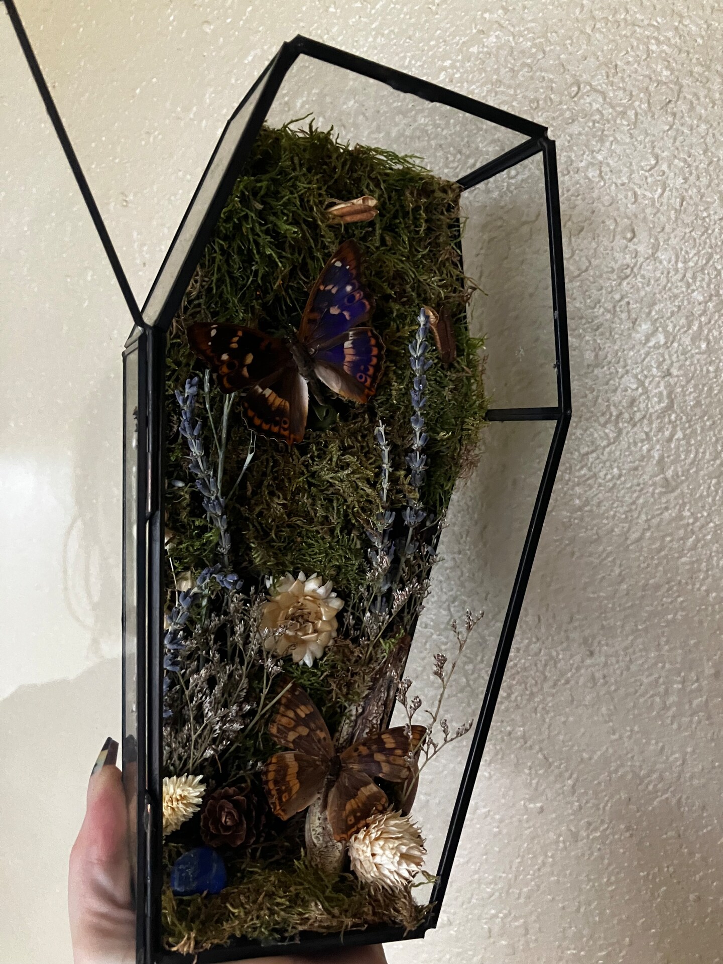 Glass Coffin Terrarium | MakerPlace by Michaels