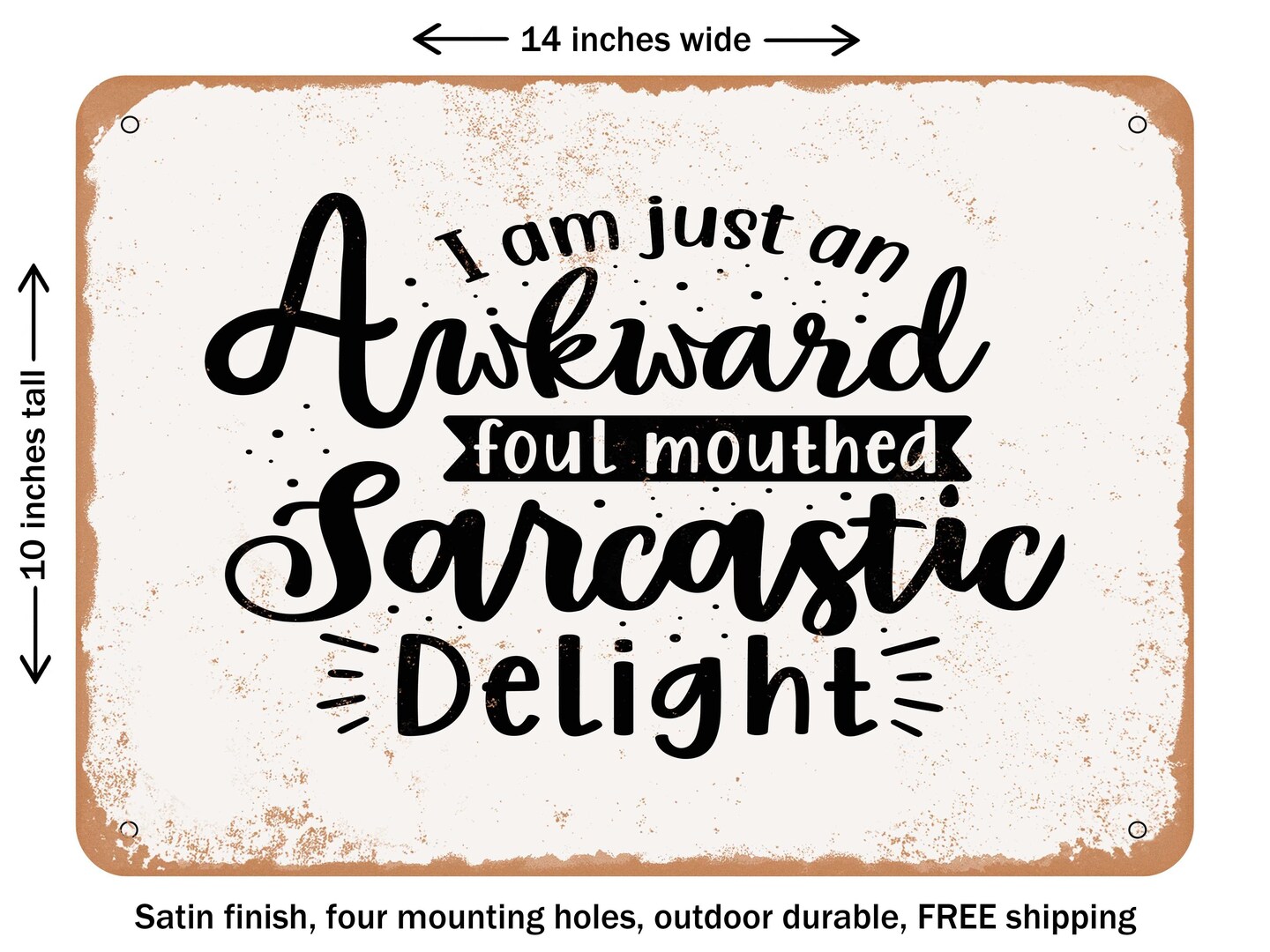 DECORATIVE METAL SIGN - I Am Just an Awkward Foul Mouthed Sarcastic ...