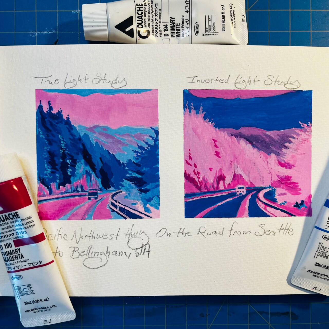 Understanding Light & Value Shapes in a Landscape Using Gouache with ...