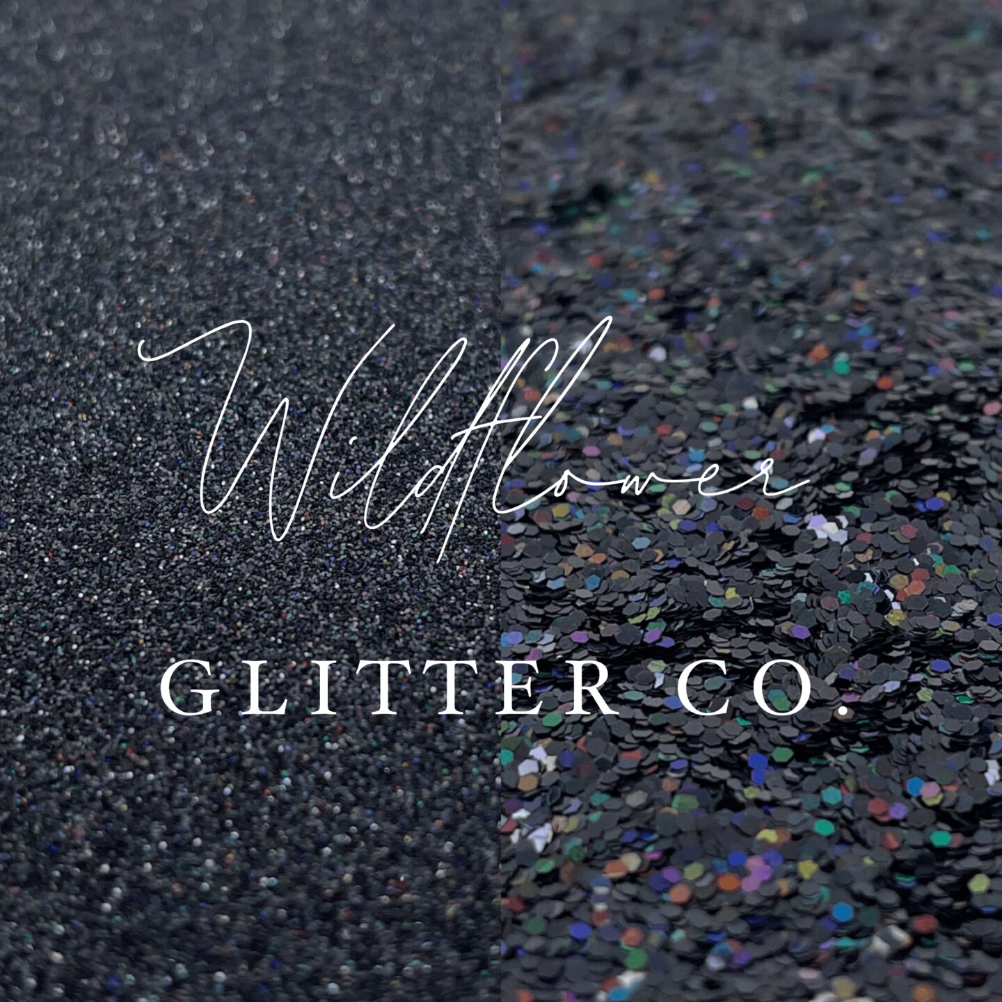Holographic glitter various sizes 2oz-Onyx Odyssey | Michaels